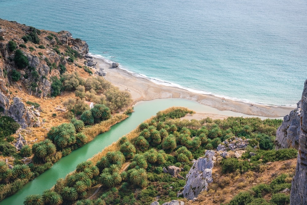 Crete's Preveli Palm Forest