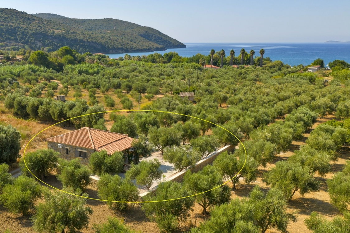 7 ways to maximize your Greek property sale price - Elxis